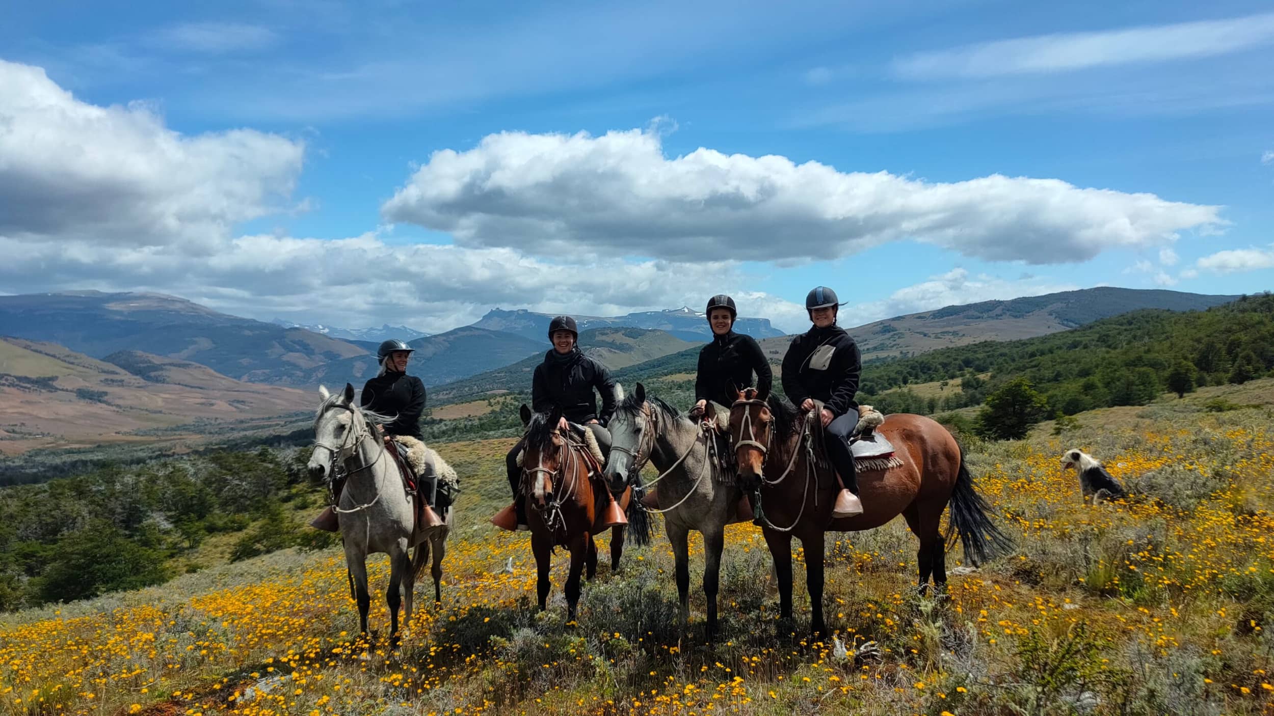 Check out our amazing programs | Galope Austral - Horseback riding Live ...